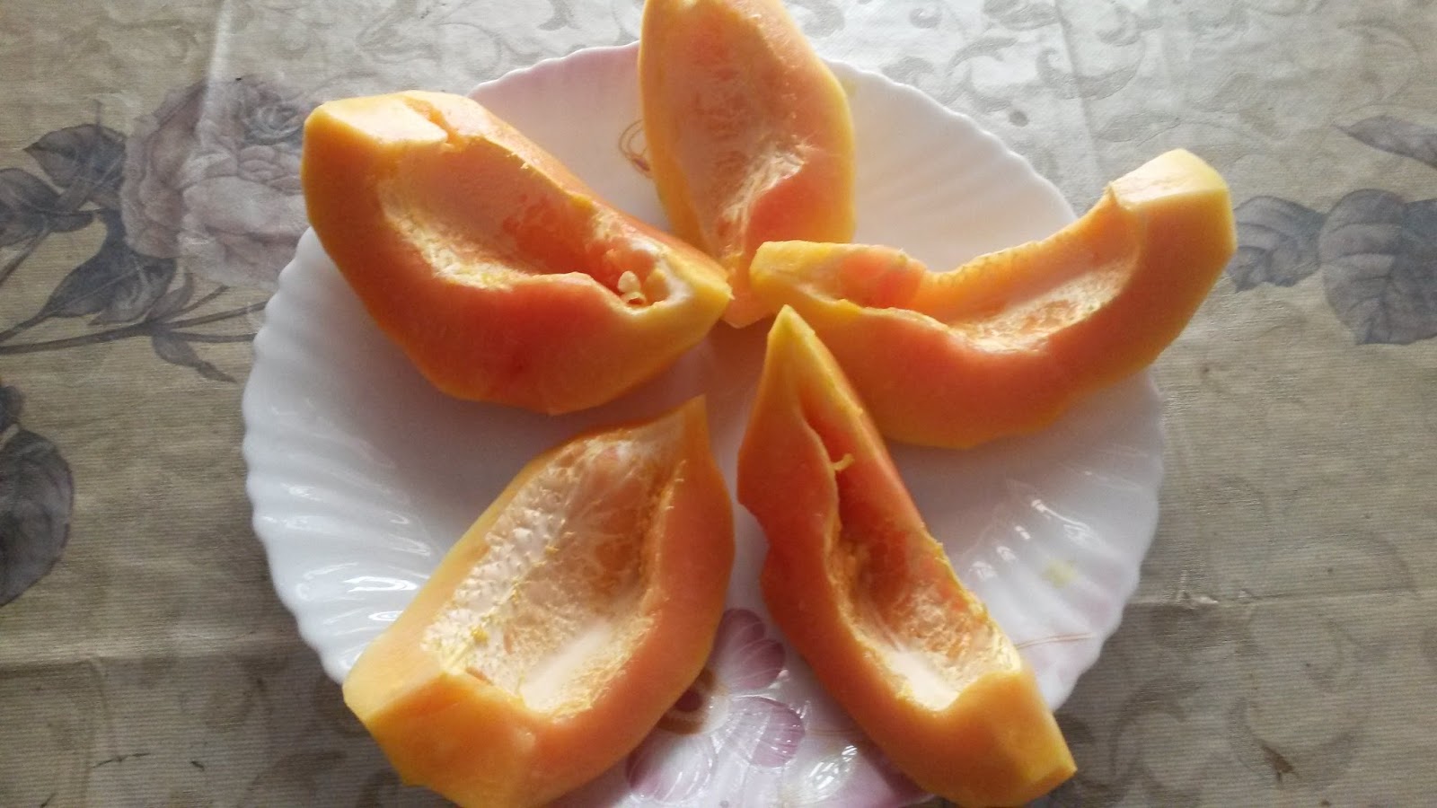 Organic micro farm and vegetable terrace garden : Papaya plantation