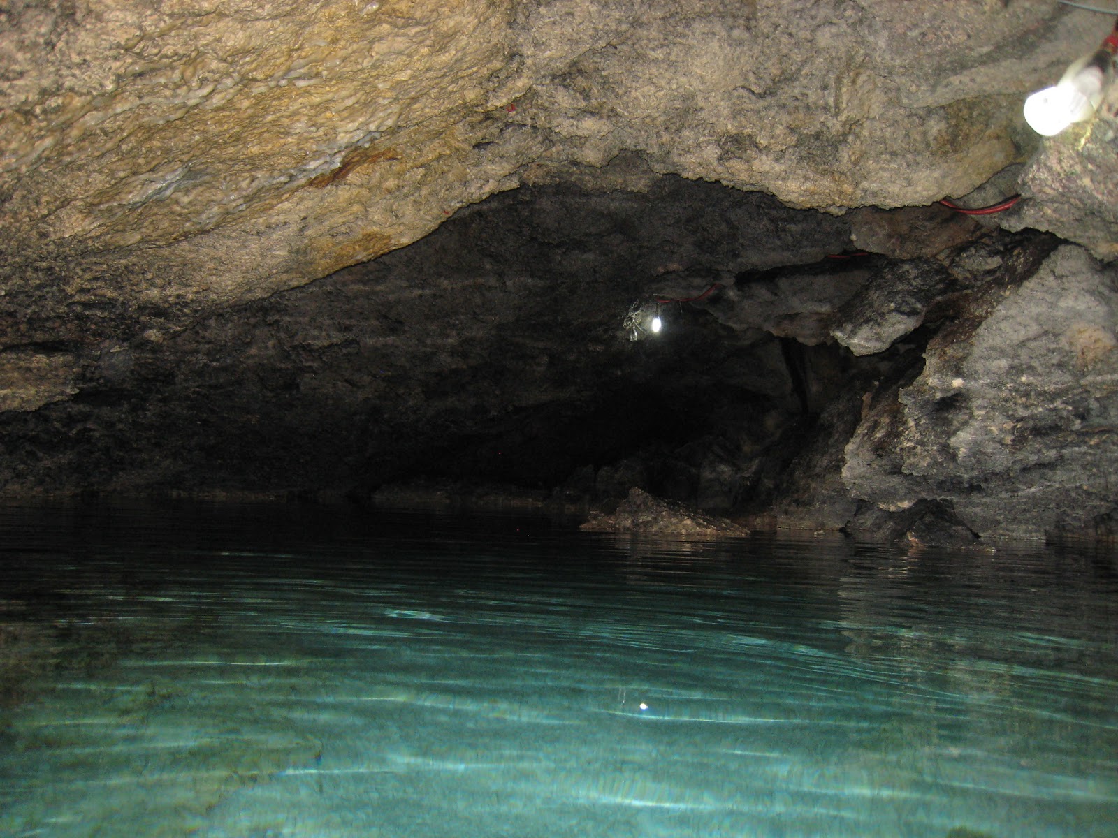 Black Swamp Cornucopia: Timubo Cave, Camotes Islands, the Philippines ...