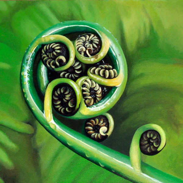 5th Grade - Andrés Segovia: ART GALLERY 🖼️ Koru Art 🌿