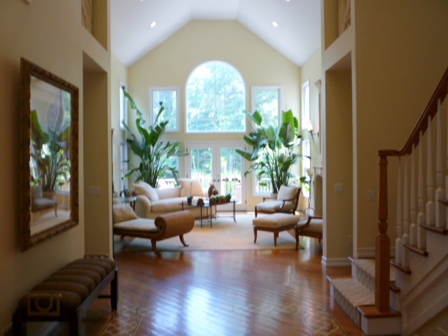 Robin Lechner Interior Designs: DID YOU KNOW? PALLADIUM WINDOWS