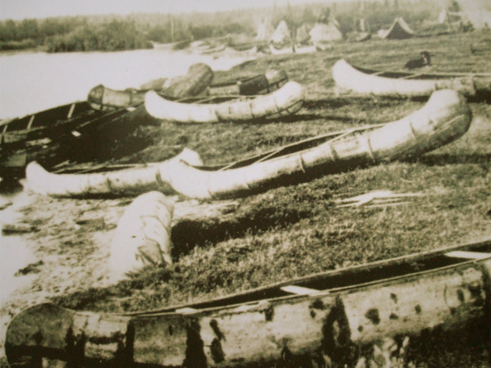 Beaver Bark Canoes: Eastern Cree Crooked Canoe