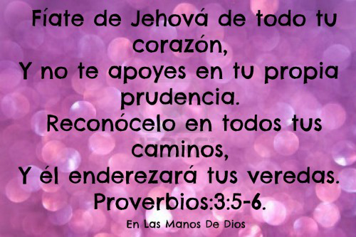 Cristo Yo Te Amo: Proverbios:3:5-6.