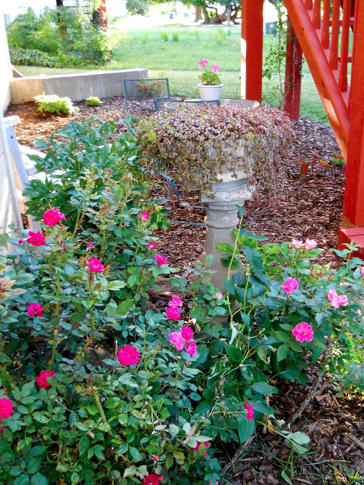 A Kansas Prairie Garden: Checkerboard patio