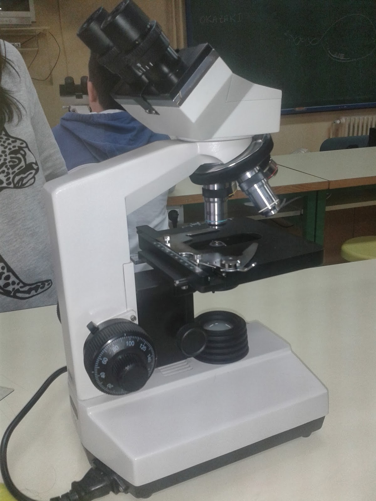 Biología Aplicada 4ºA-2-2013: Infusorios y observación de ...