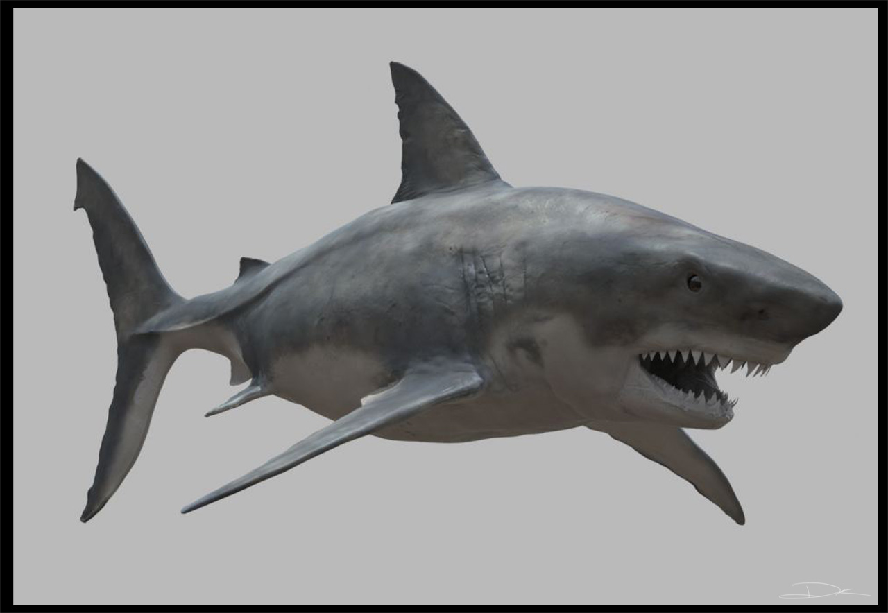 Kirouac Learns To Sculpt: Shark Texture WorkInProgress