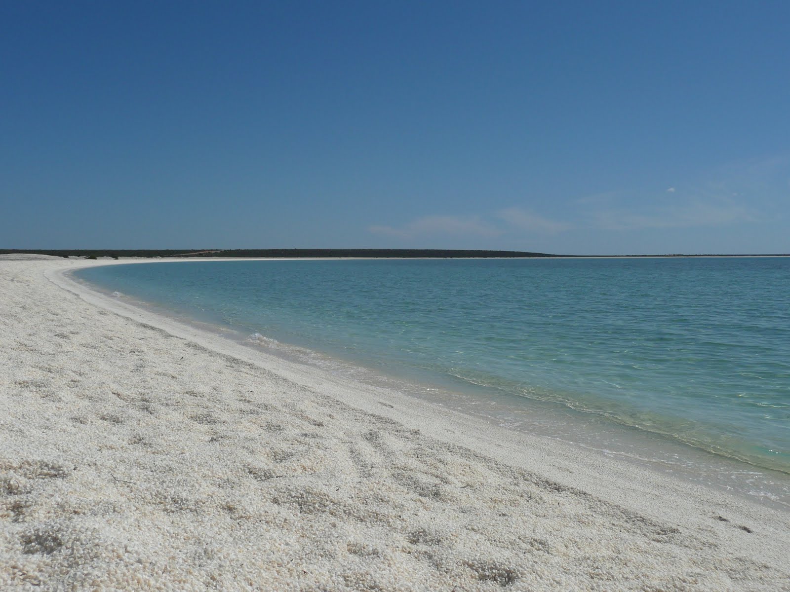Nele & Andrew Around Oz: Seaside Tourist Village Caravan Park, Denham, WA