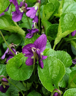 justthoughtsnstuff: 2019