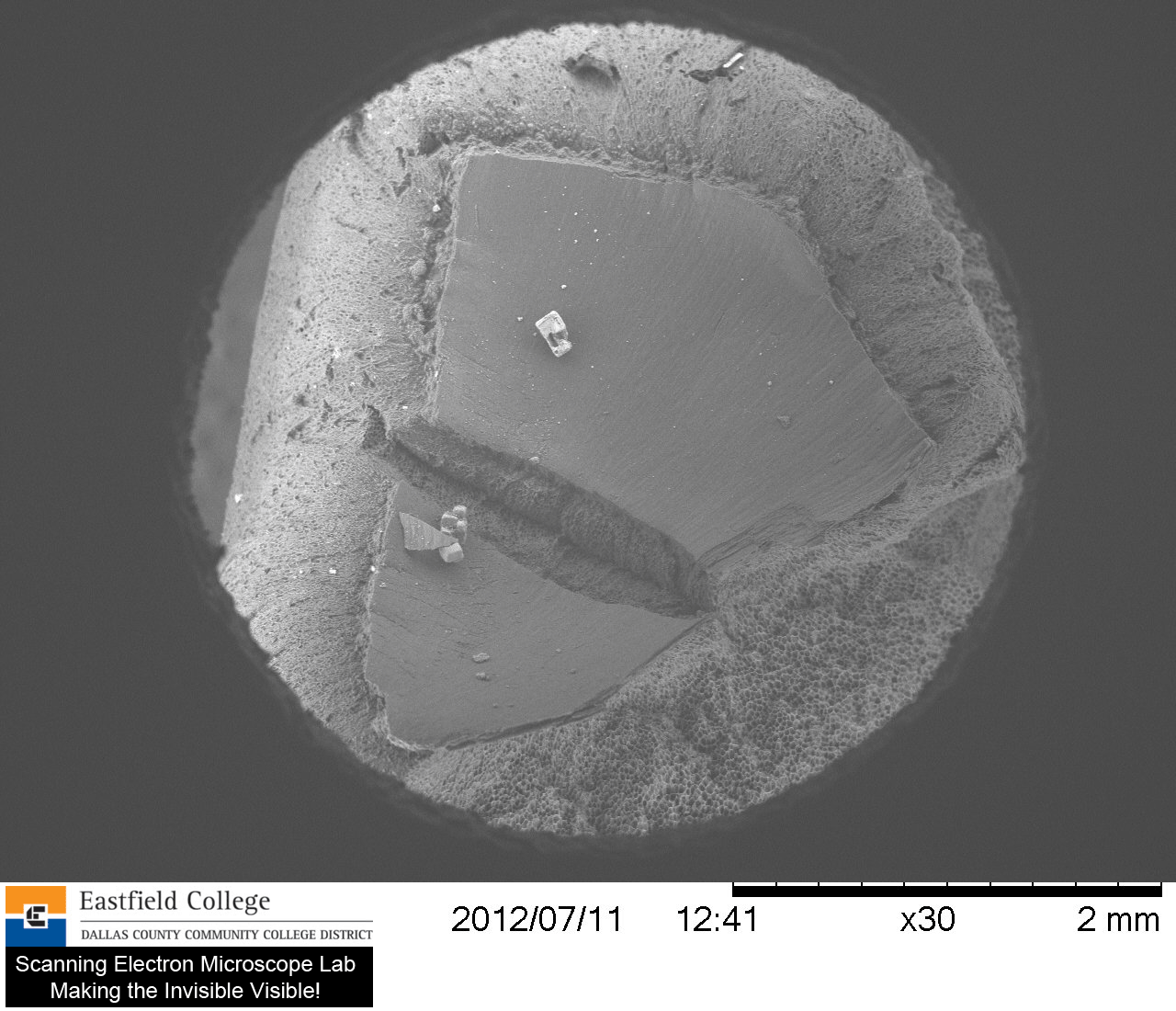 Scanning Electron Microscope Blog: Popcorn Revealed