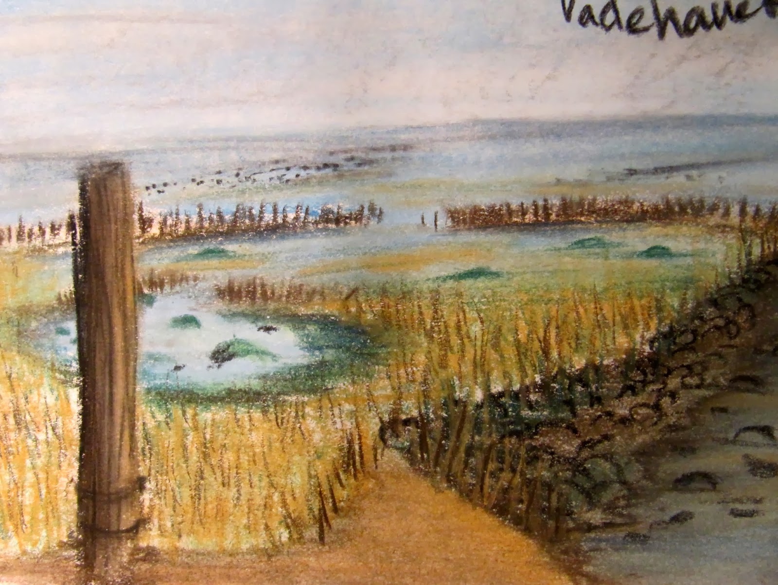 My Adventures on a Visual Hf: Freestyle Drawings