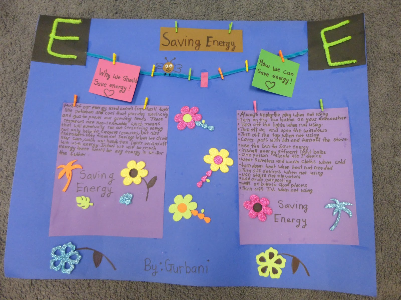 Ms Rashid: Science Energy Conservation Project