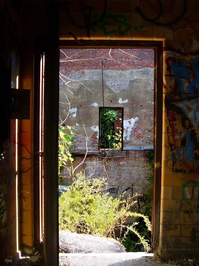 nyc edges: The Lost Colonies of Staten Island pt1; The Farm Colony