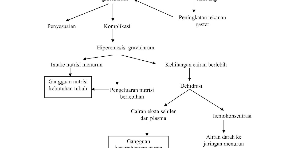 Blog Kesehatan - S1 Keperawatan: AsKep Hiperemesis Gravidarum