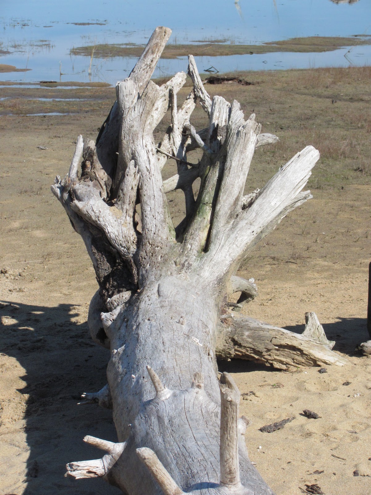Recreational Kayaking in Maine: Songo River/Brandy Pond/Sebago Lake