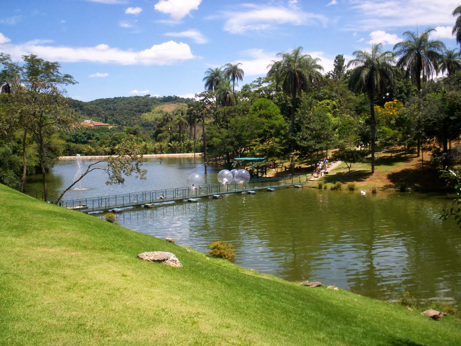 Algo a ver: Parque Ecológico Vale Verde, vale a pena visitar.
