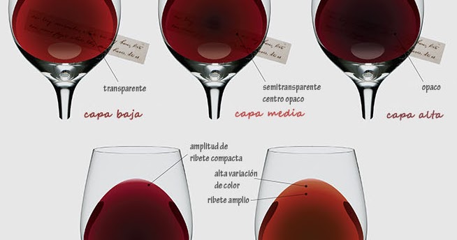 Conoce el significado del color del vino.
