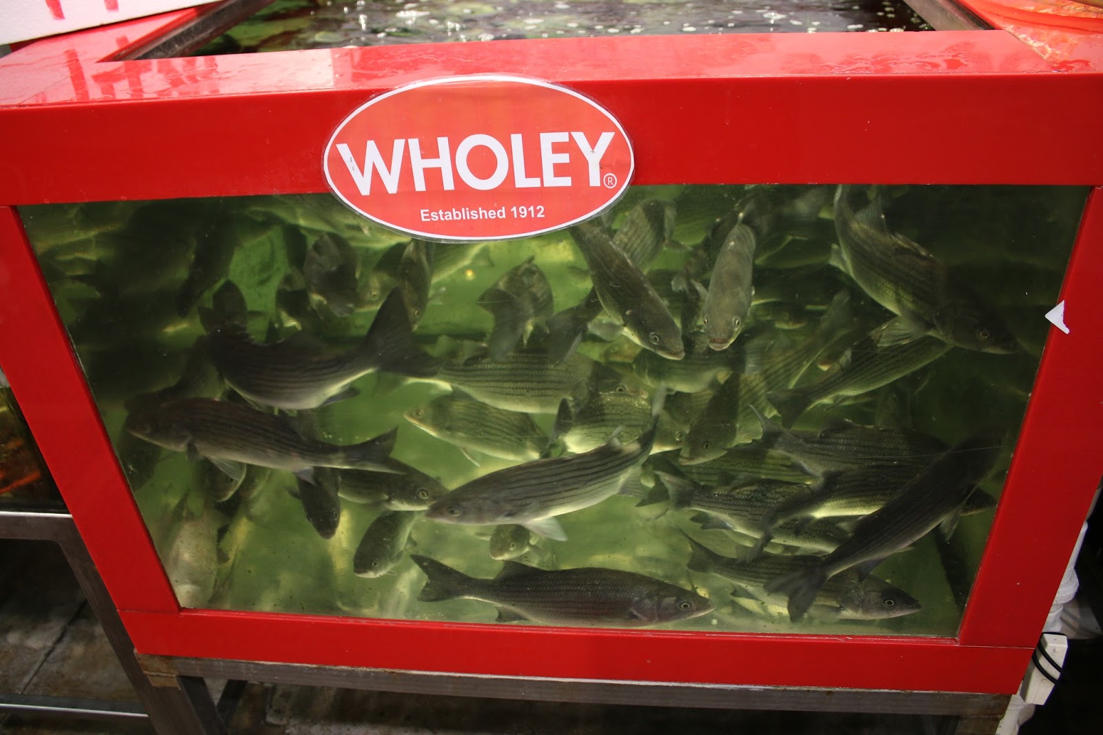 Wholey's: Awesome Fish Market & More in PGH's Strip District ...