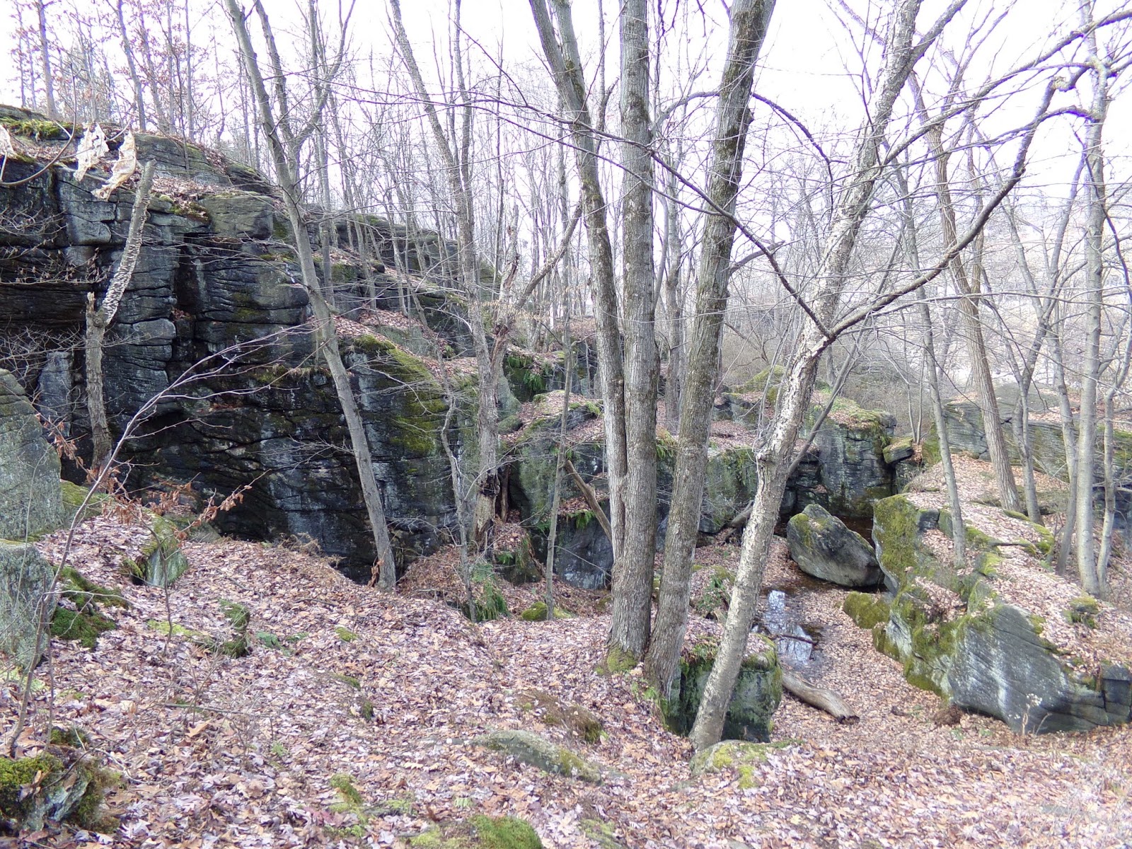 Erie Canal: Little Falls and Moss Island