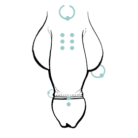 Clara Tattoo - Piercing: - Tipos de piercings.