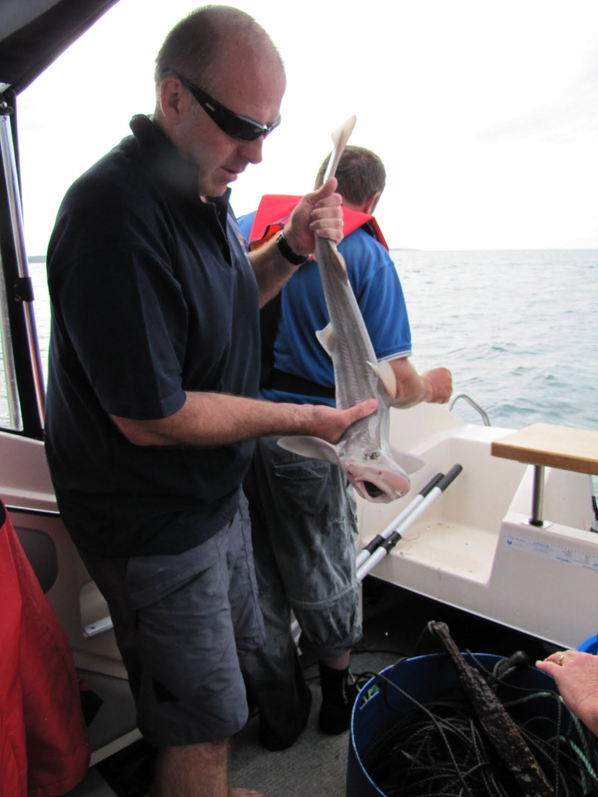 Escape to an Island: Trip to Albatross Island