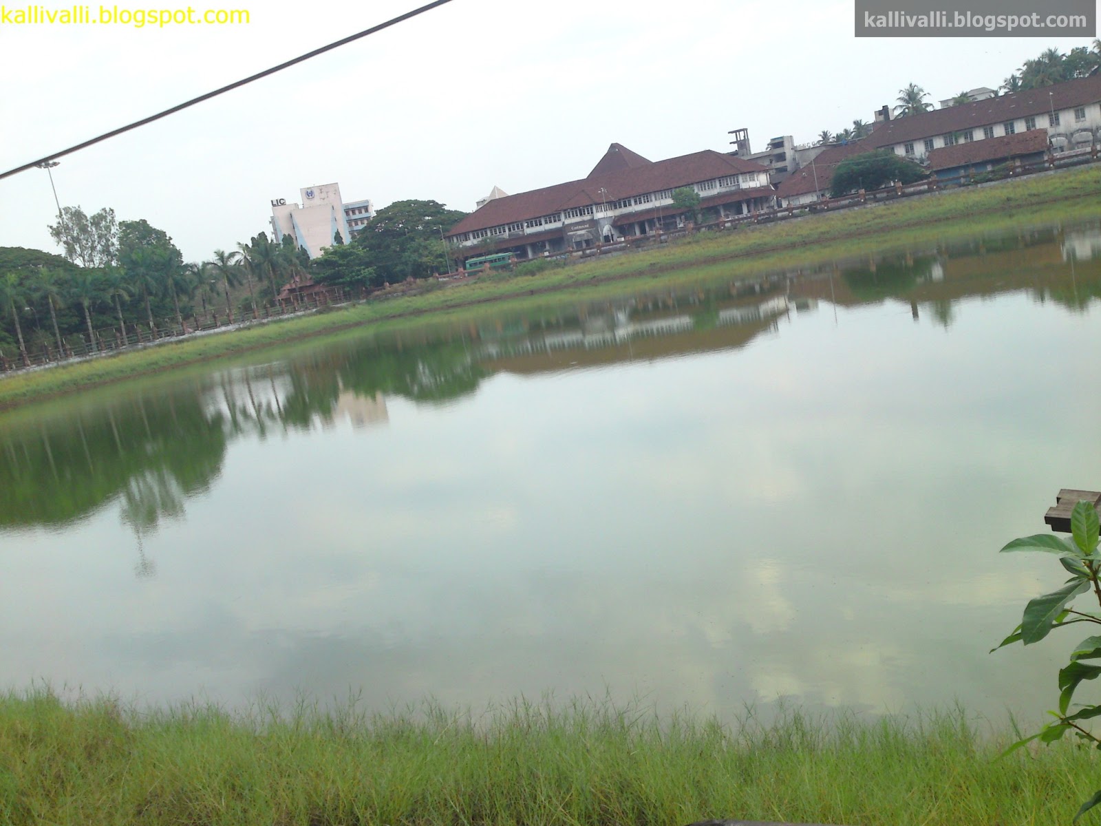 Jeevan's KALLI VALLI : Mananchira Square