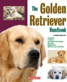 golden retriever: Characteristics Of The Golden Retriever