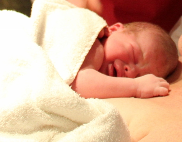 Coalition for Safer Home Birth: How the Dutch do Birth