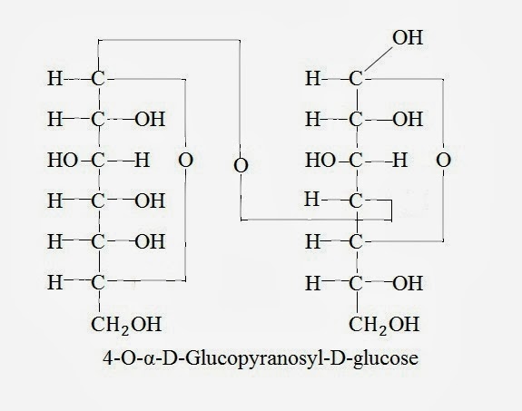 Maltose Fischer Structure