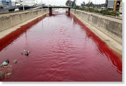 Nature alerte: 17/02/2012...Liban, une seconde rivière vire à la ...