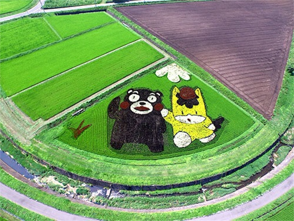Japonés-Cas: "Tanbo art" 田んぼアート