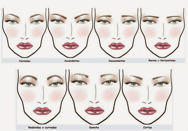 El mundo del maquillaje : Tipos de cejas