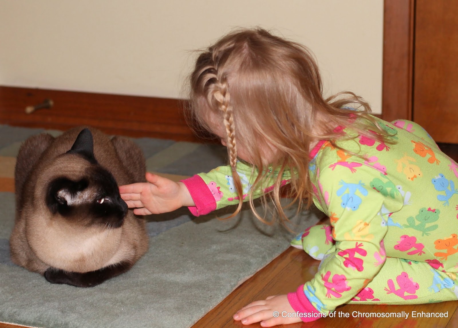 Confessions of the Chromosomally Enhanced: Weekend at Mama Hop's House