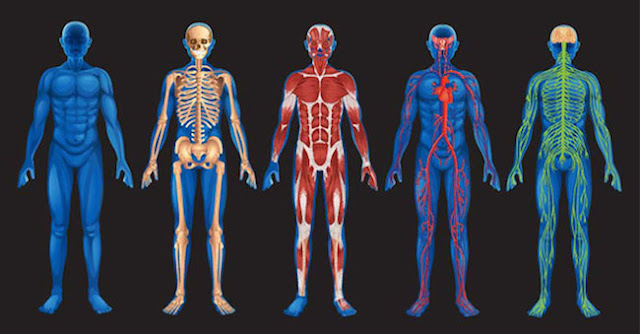 2015 ~ Important Information