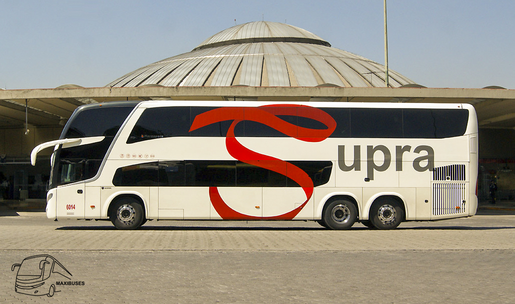 MAXIBUSES: SUPRA