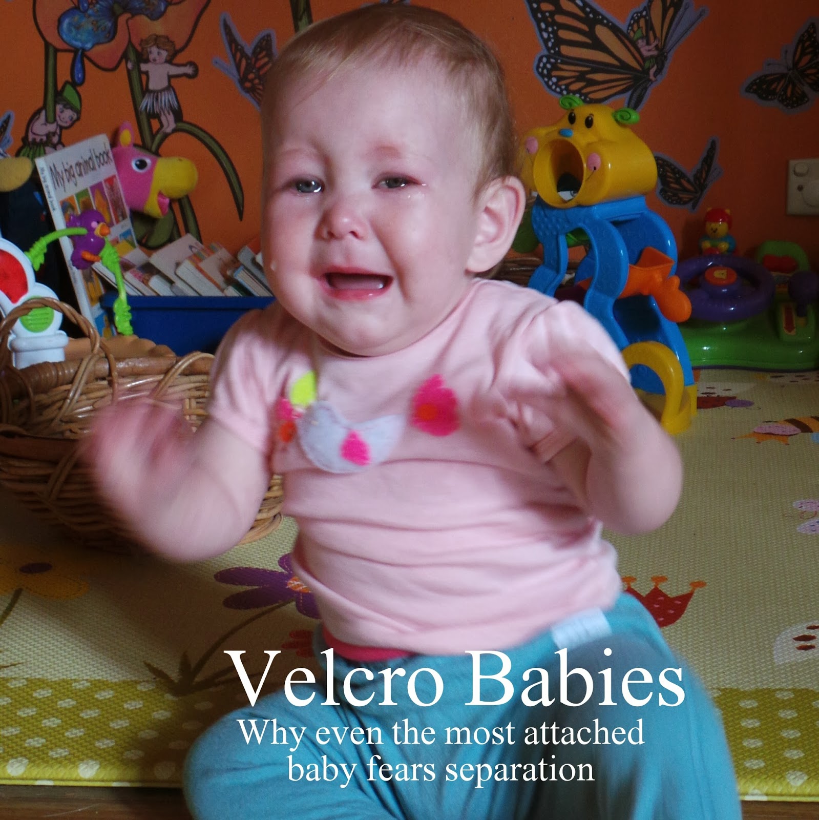 Ramblings: Velcro Babies: Separation anxiety in the older baby