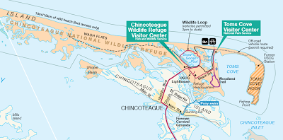 Critter Sitter's Blog: Chincoteague and Assateague Views