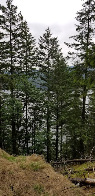 Deep Cove Quarry Rock Trail - BC, Canada - chichicho~