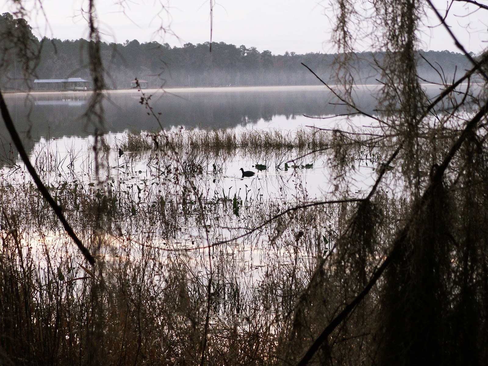 A Nomadic American Odyssey : Photos-of-the-Week #254 Wake Up! Wake Up ...