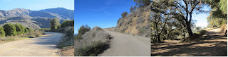 Smorgcycle: San Diego's Rite of Passage (Road Cycling) Hills