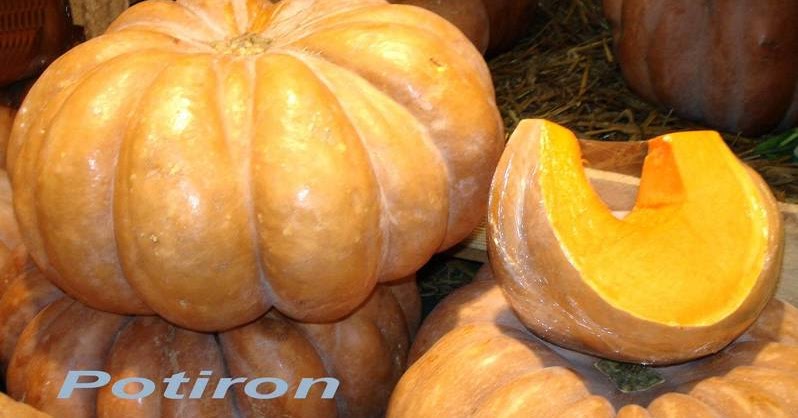 "S" obéit et "R" agit: Potiron