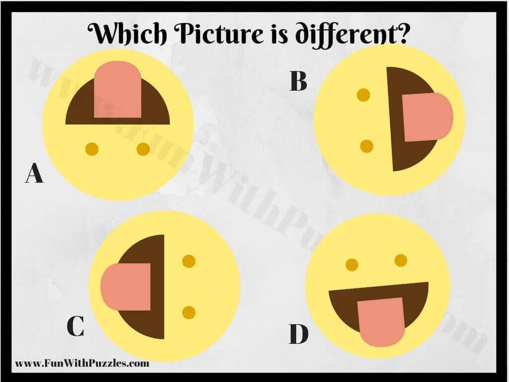 Puzzles for Teens | Difference Challenge Fun Picture Puzzles