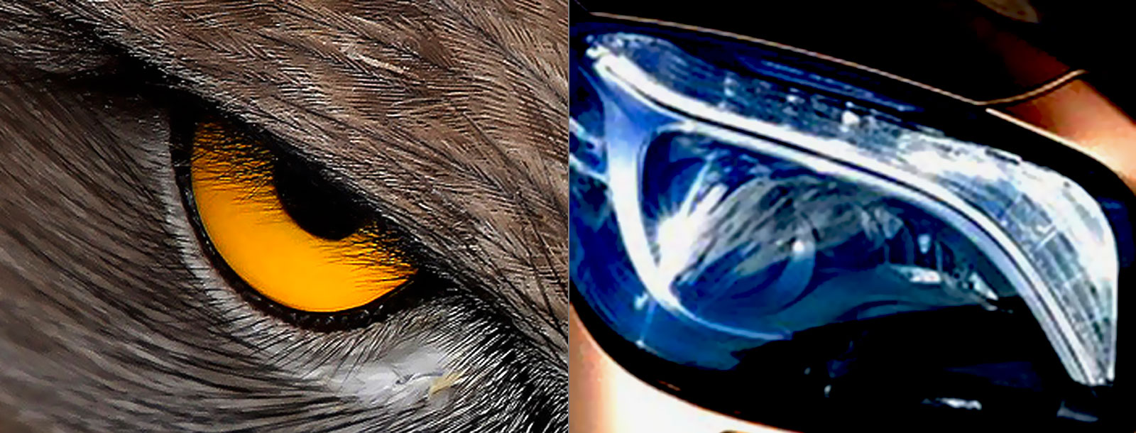 Jake's Car World: All-New Mercedes-Benz SL Flagship Roadster