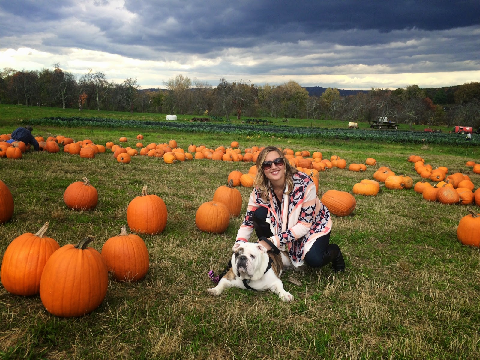 Married to the Mobs: A trip to Harvest Moon Orchards