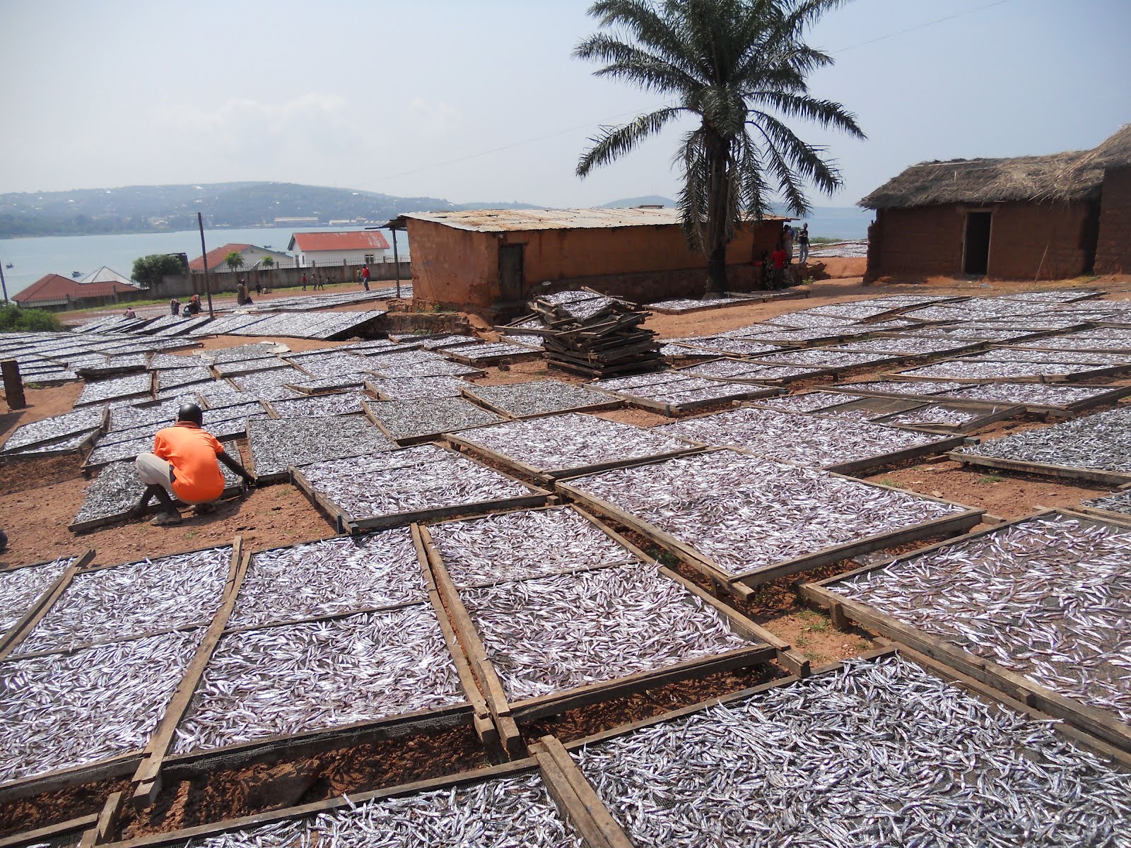 Mike's Global Adventure: Kigoma, Tanzania