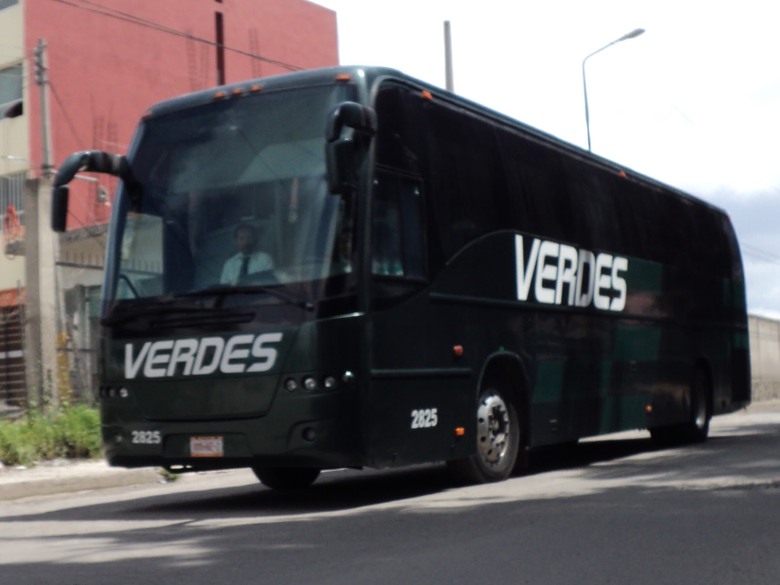 BUSÓPOLIS: VERDES PREMIUM