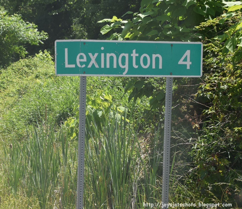 Joy's Jots, Shots & Whatnots: Fun or Funny Fri Foto ~ Lexington, Indiana