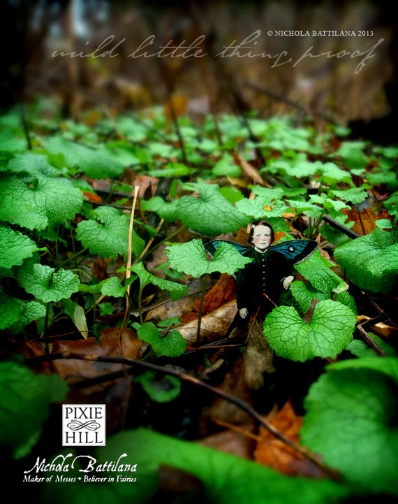 Pixie Hill: Wild Little Things