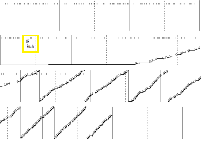 Psych of Learning Rat Lab :): Sniffy (AKA Mitzy 2.0)