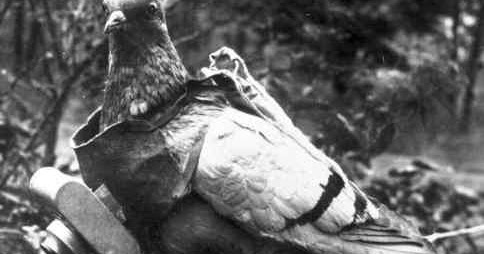 World War I Bridges - WW1 Centenary from the river Piave: Photos of ...