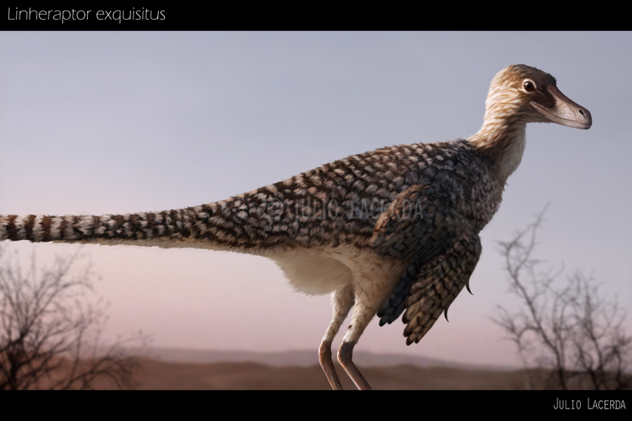 Sightings: Small T-Rex reported in South Texas : r/HighStrangeness