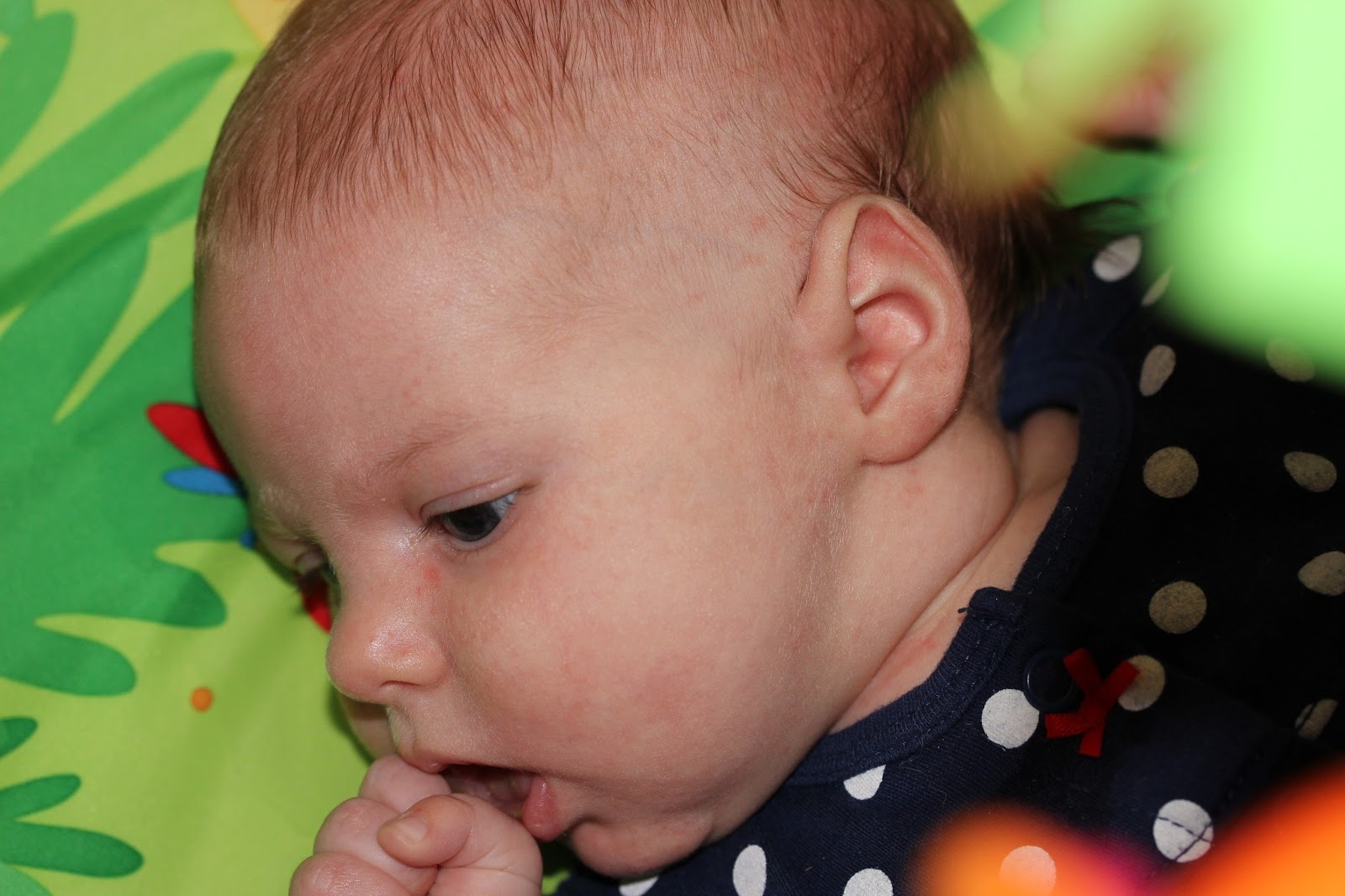 Conceiving Piper: Conquering Woes and Other Fanciful Tales